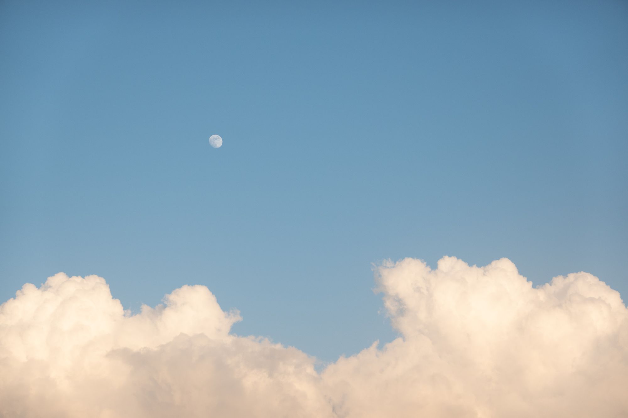 dev_passionoil (열정에기름붓기) / 작성글 - velog