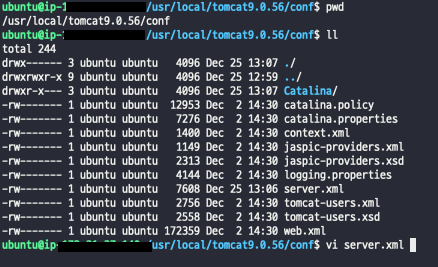 [WAS] ubuntu Tomcat9 설치