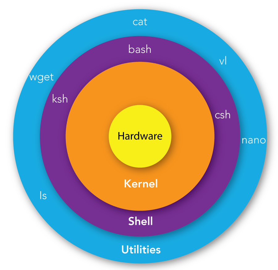  Linux Shell Kernel 
