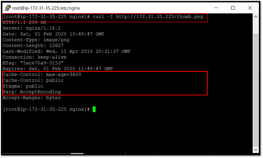  Nginx Header Expire